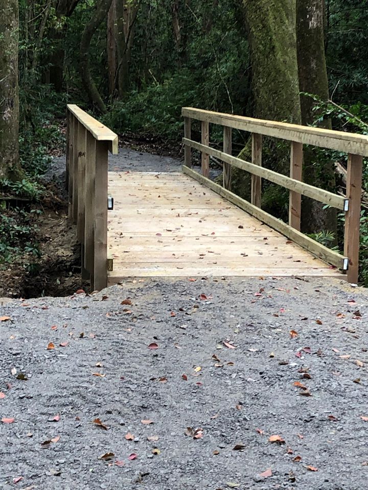 “OLD NURSERY HIKING TRAIL” SOON TO OPEN IN JUNGLE GARDENS – Jungle Gardens